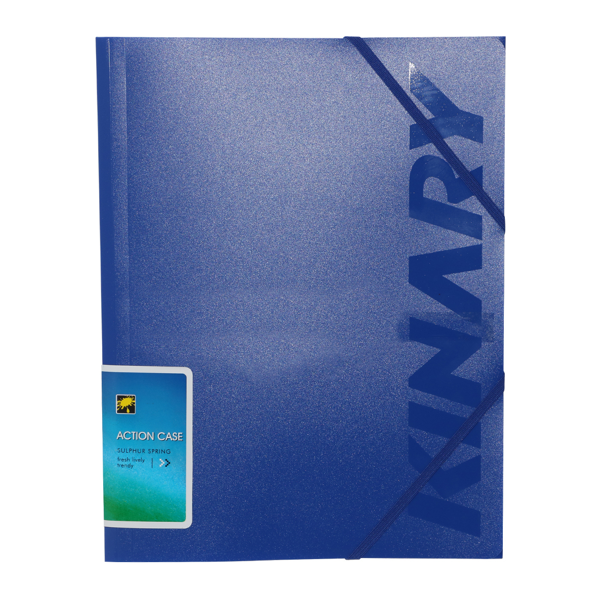 Folder Plástico Rex Plastics Elástico - 918073