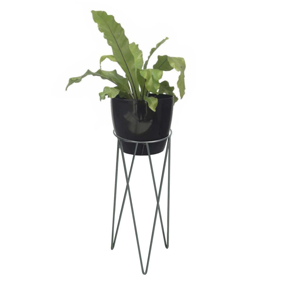 Porta Macetero Plateado 50x23cm - 925936