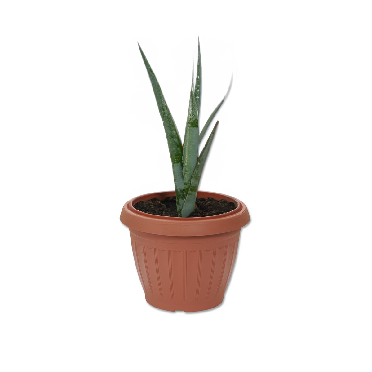 Macetero Labrado Terracota 14x10.5cm - 959240