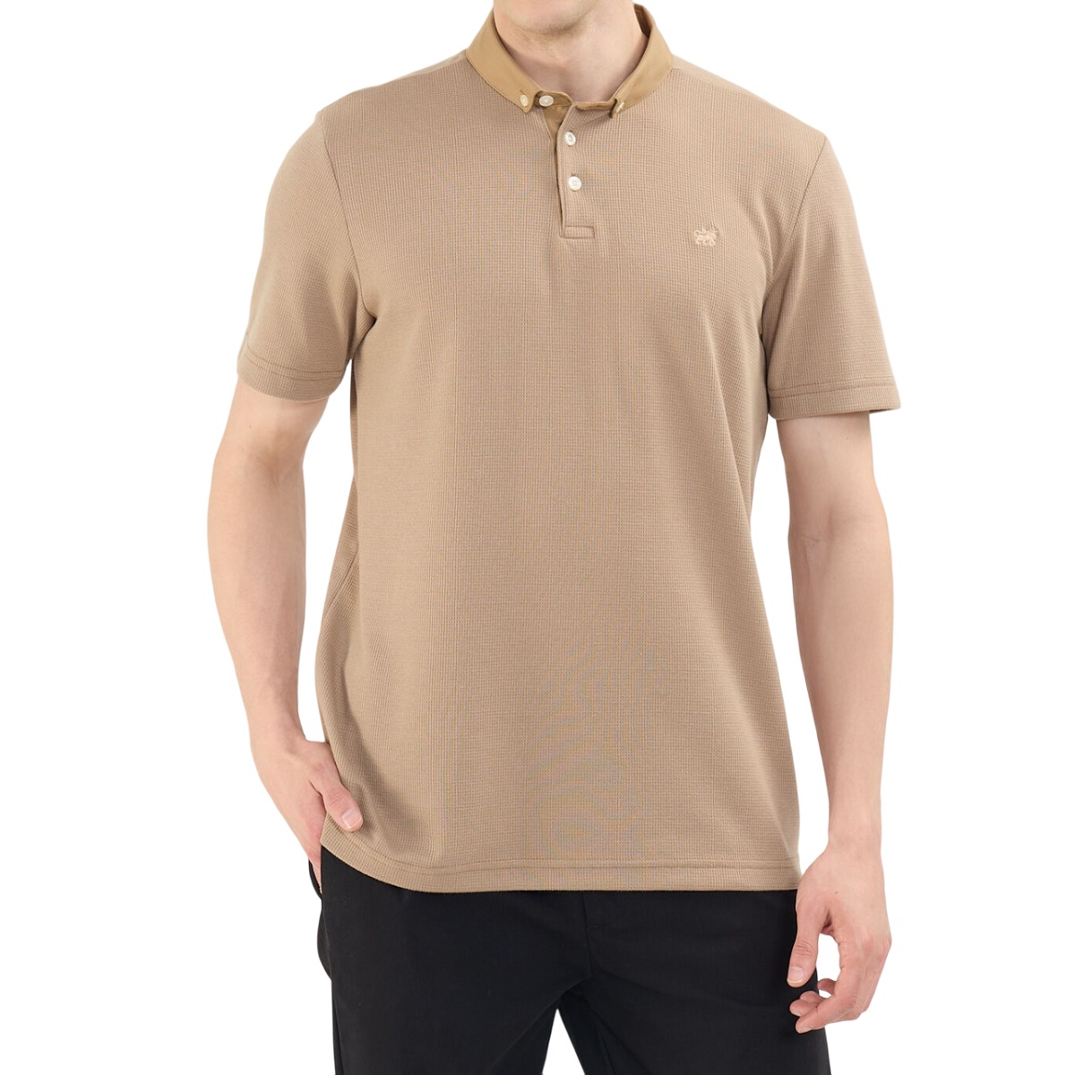 Camiseta Hombre Pat Primo Tipo Polo Modelo Unicolor - Varios Colores ...
