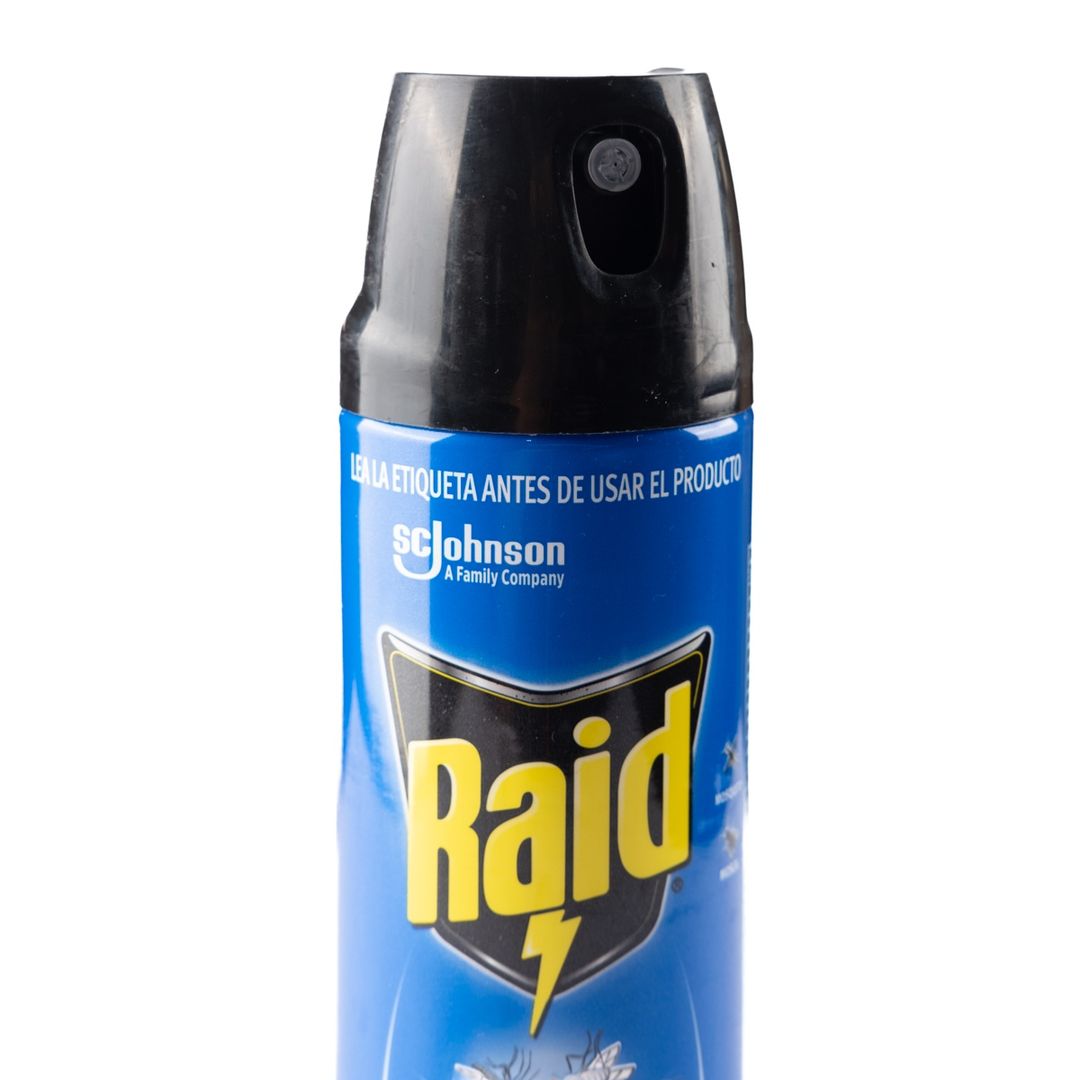 Insecticida en Aerosol Raid Mata Insectos Voladores 285ml - 920952