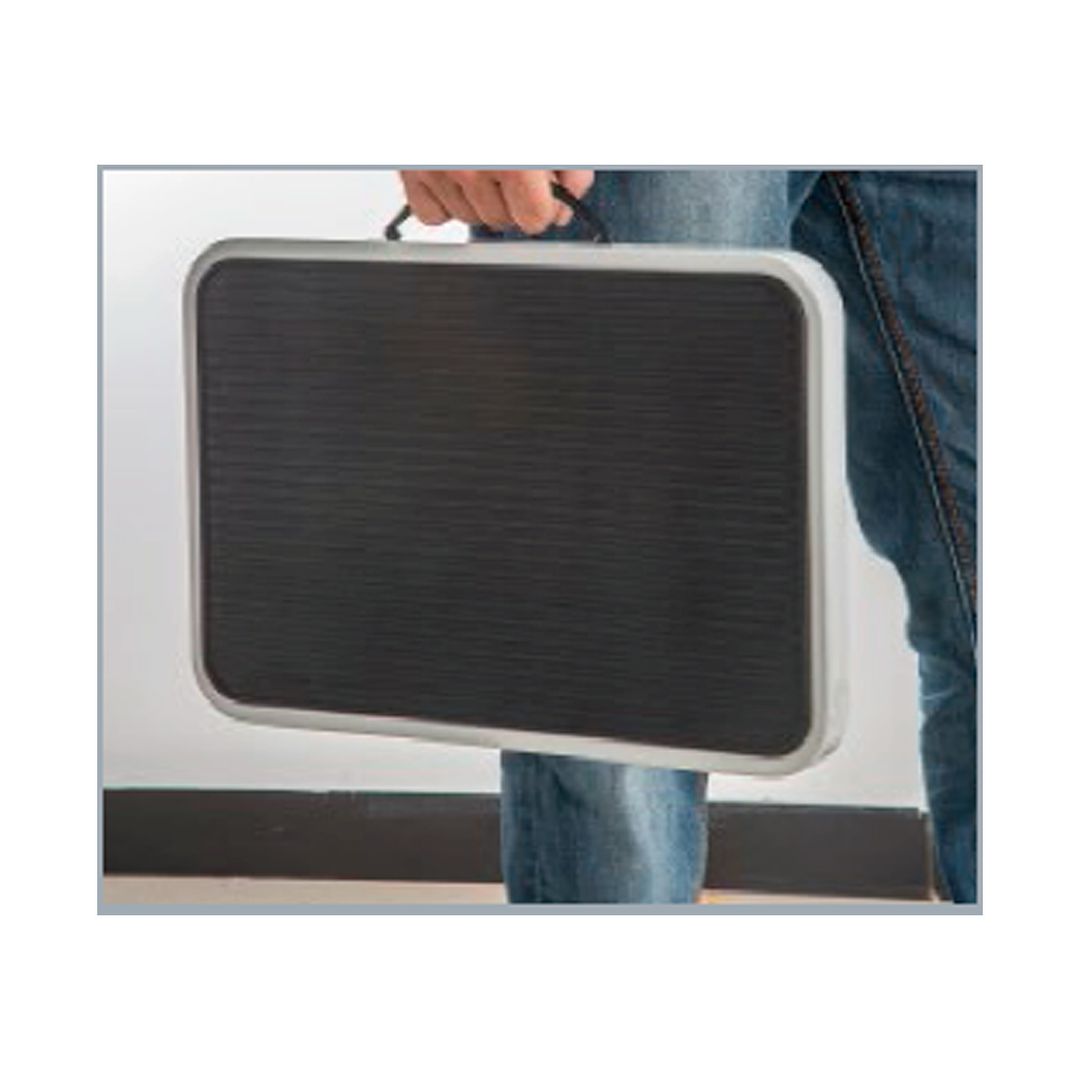 Escalerilla de Acero Wireking 1 Peldaño 46 cm - 925224