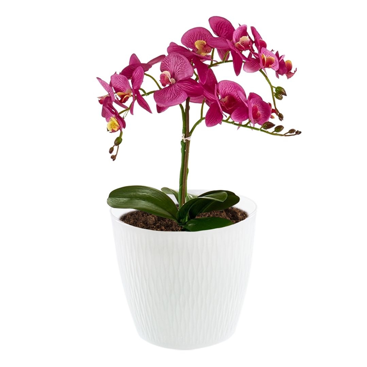 Jardín | Frecuento.com